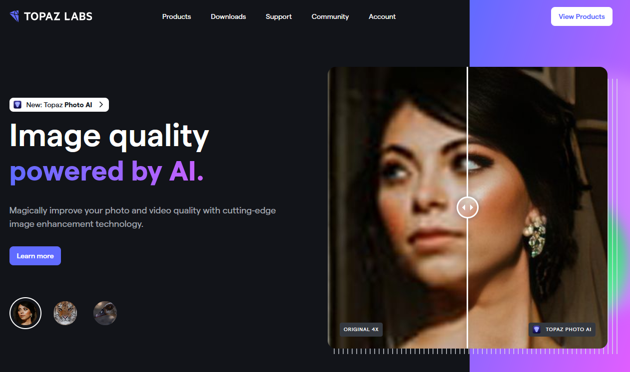 5 Best AI Image Upscalers And Enhancers (May 2023) - AI Tools Portal